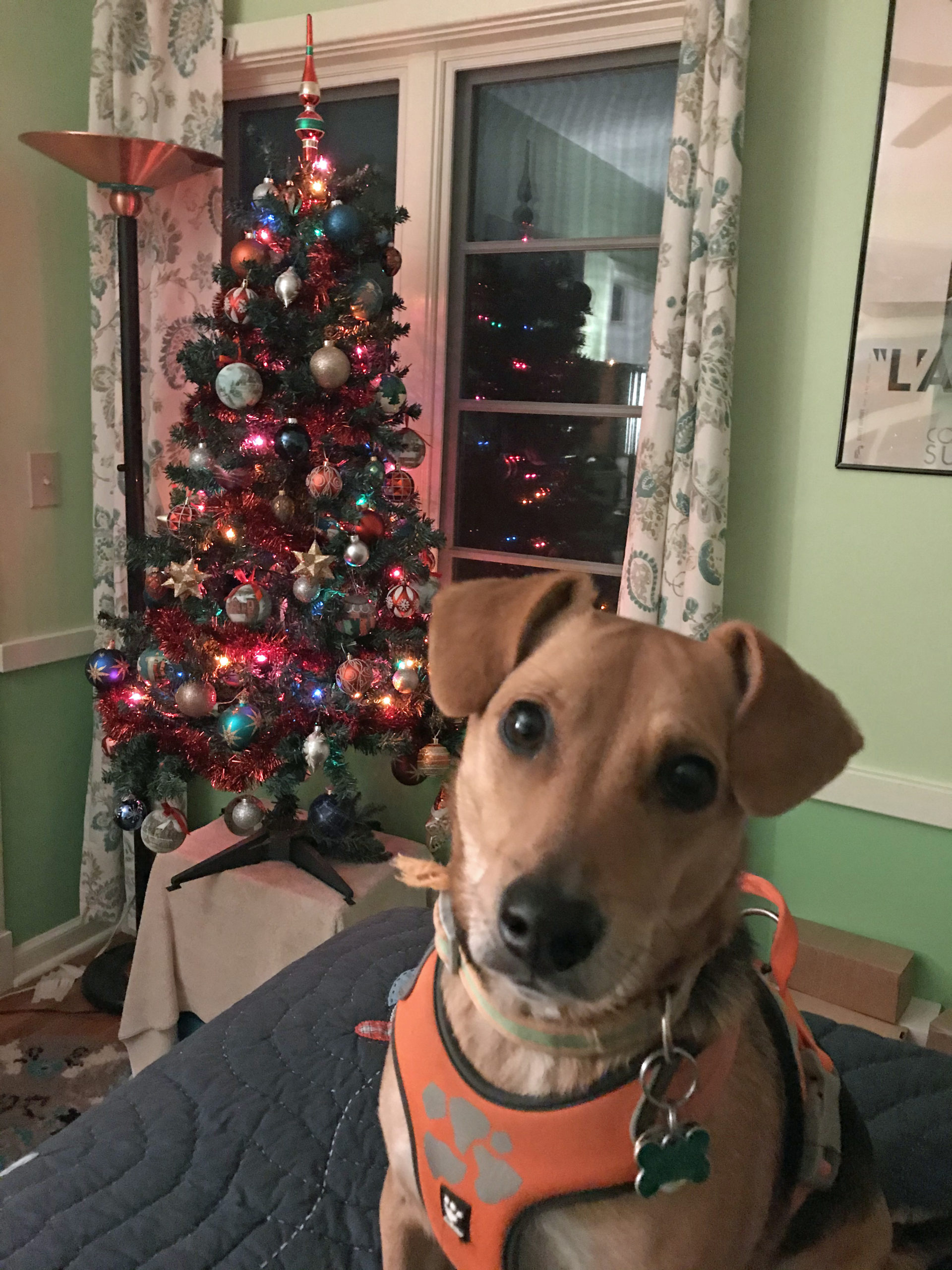 Winter 2020 - Hardlines Design Company