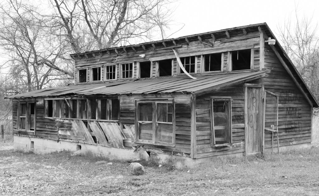 The Interesting History of Chicken Coops - Hardlines Design Company
