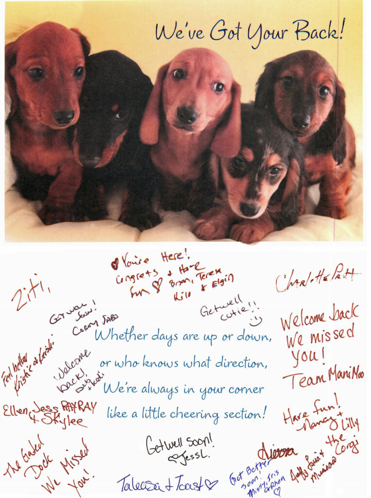 Ziti the Noodle Dog Returns to Limited Competition! - Hardlines Design ...